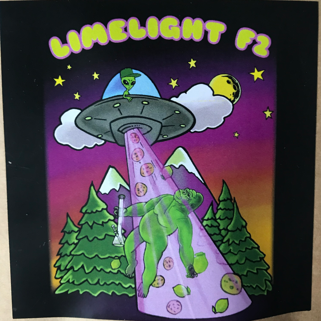 Limelight F2 (lime-o-rilla x MAC V2 F2) - Dagga Garden