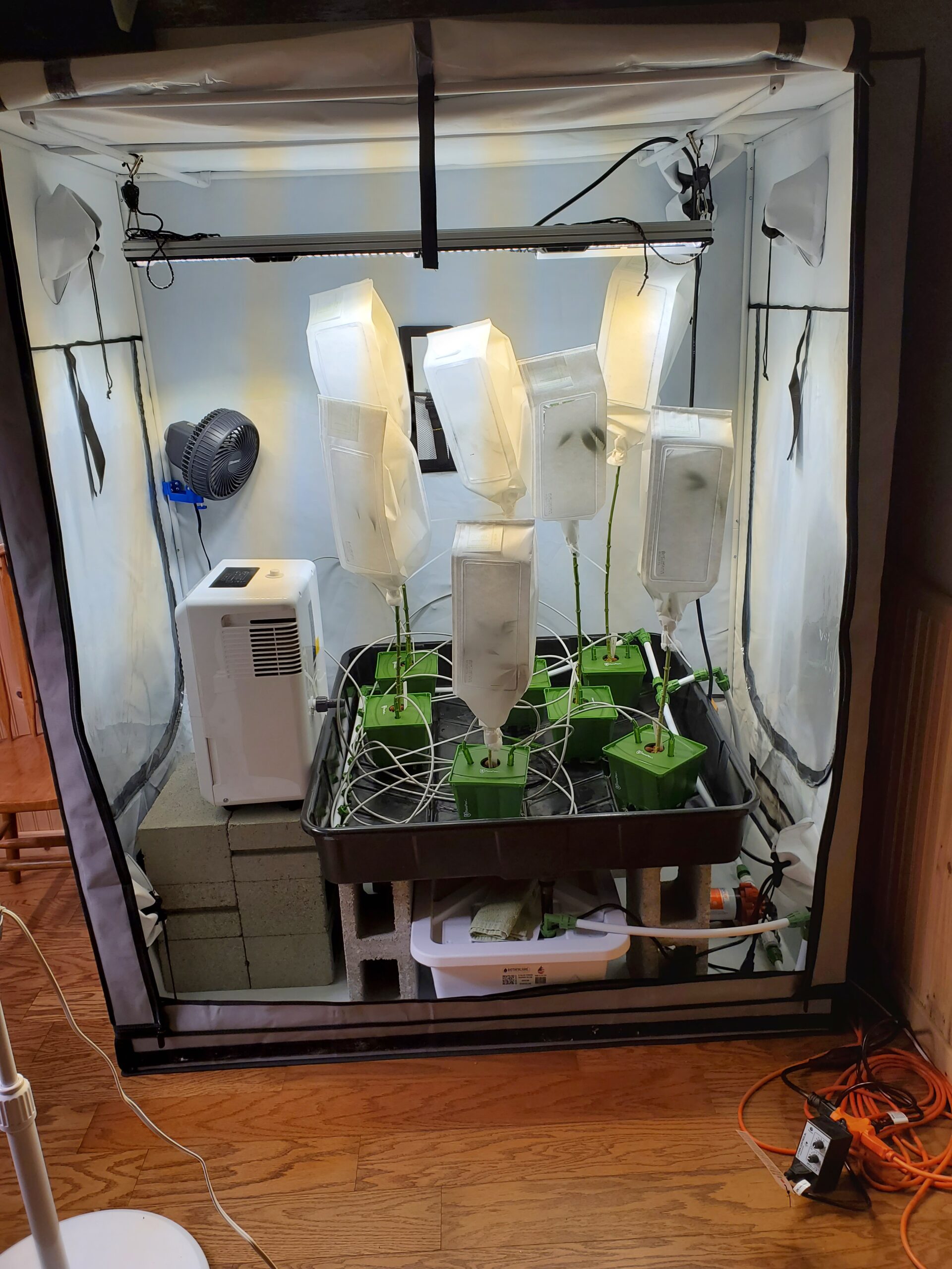 Pollen Bag - Branch - Dagga Garden