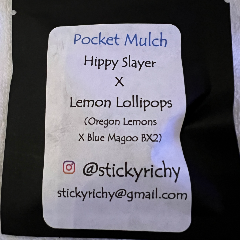 Pocket Mulch (Hippy Slayer x (Oregon Lemons x Blue Magoo BX2)) - Dagga ...