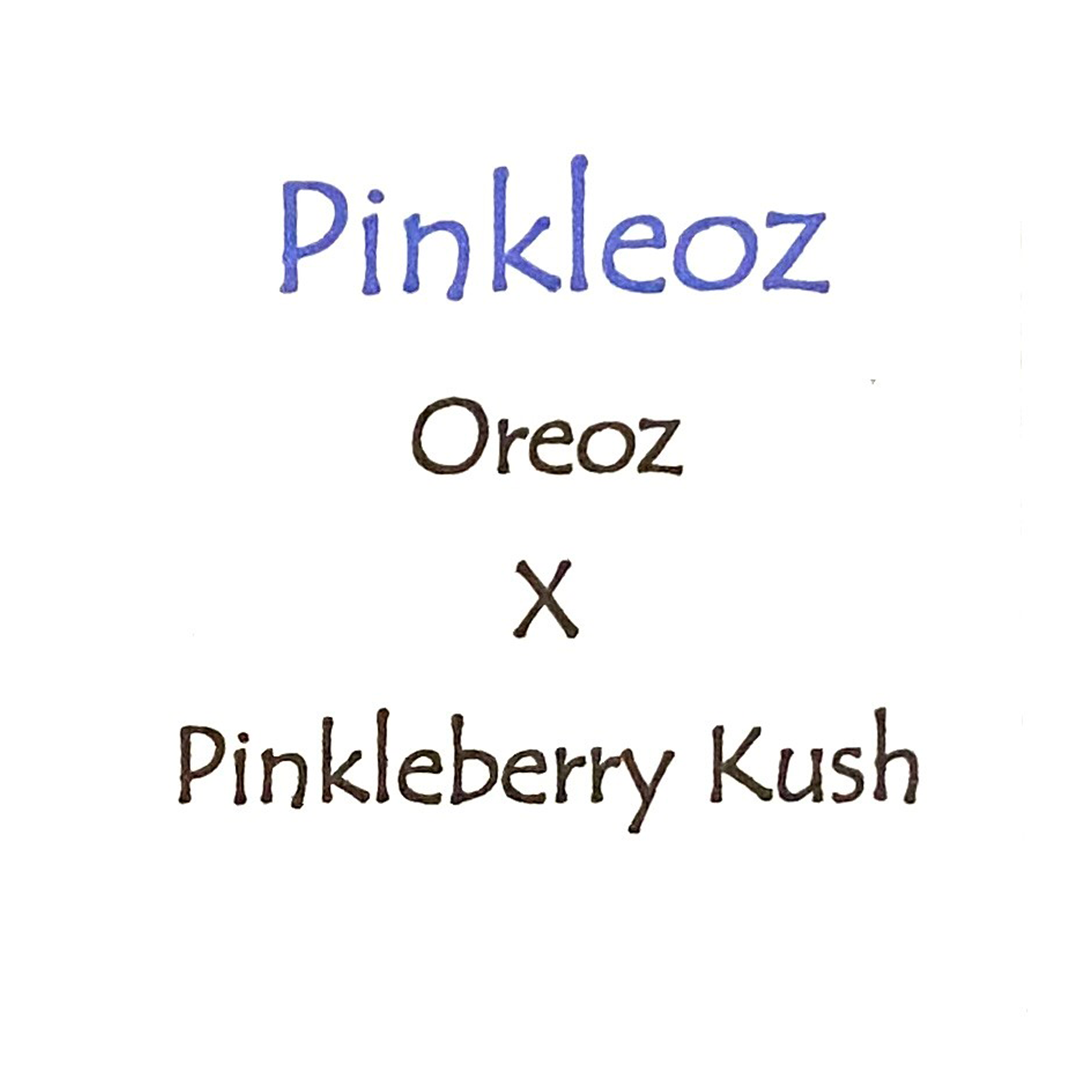 Pinkleoz (Oreoz x Pinkleberry Kush) - Dagga Garden