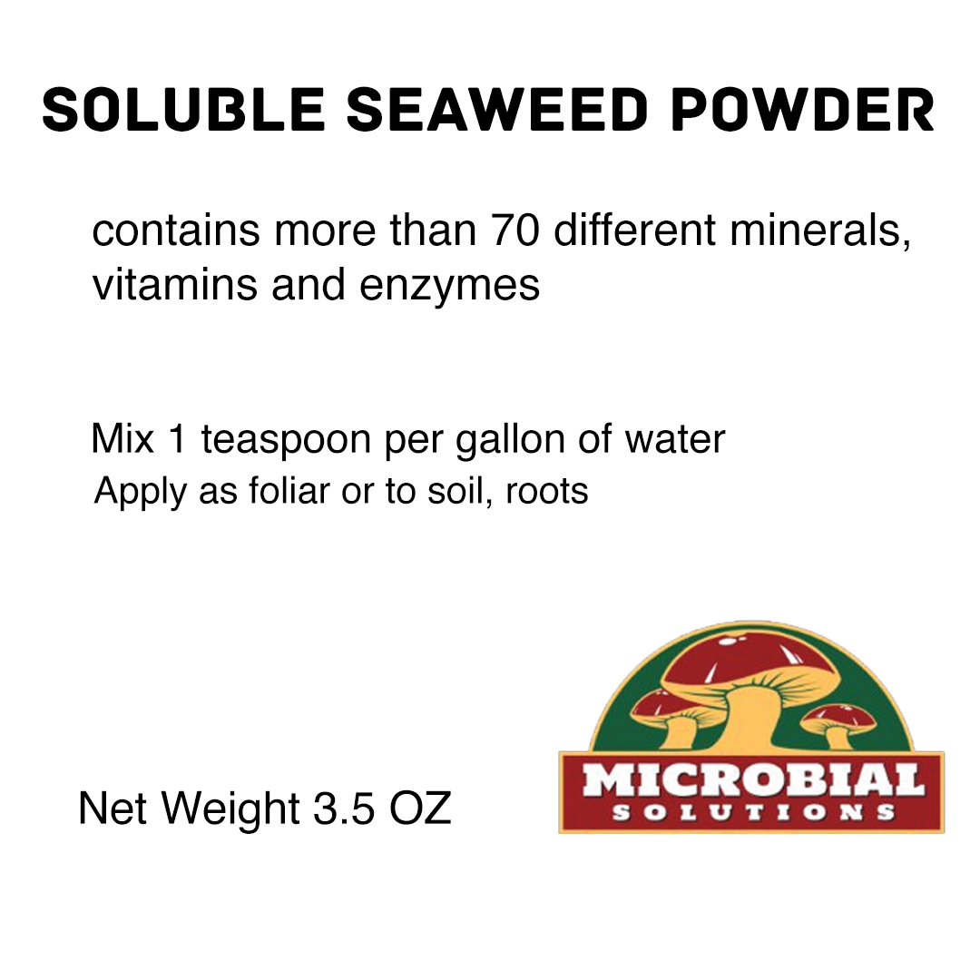 Soluble Seaweed Powder - Dagga Garden