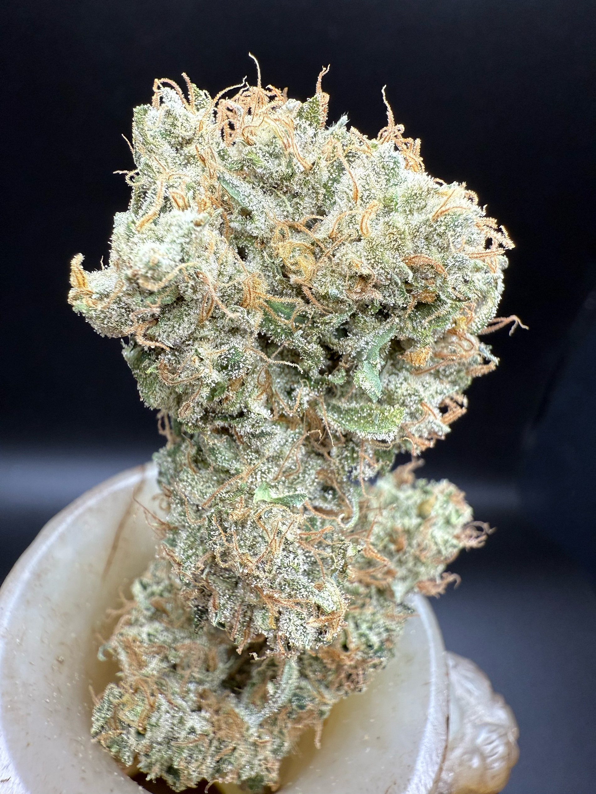 Silver Moon Haze (Super Silver Haze x Raspberry Moon Cheese) - Dagga Garden